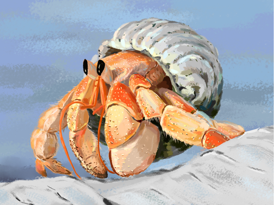 绘画星球打卡挑战Day7_艾七右-站酷ZCOOL