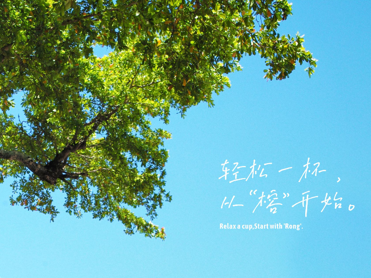 榕·茶吧 I 日茶夜酒新兴概念/茶饮品牌设计_Tail伟期-站酷ZCOOL