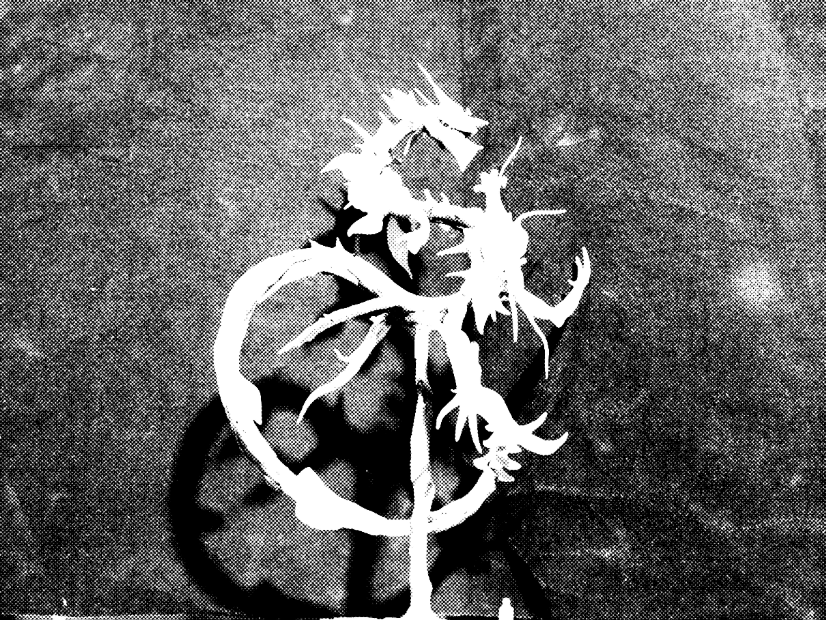 十一号怪兽_Darz_V-站酷ZCOOL