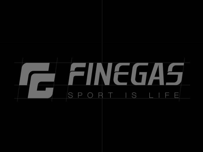 上海羽翔体育运动子品牌FINEGAS（范格思）品牌视觉_Z27837693-站酷ZCOOL