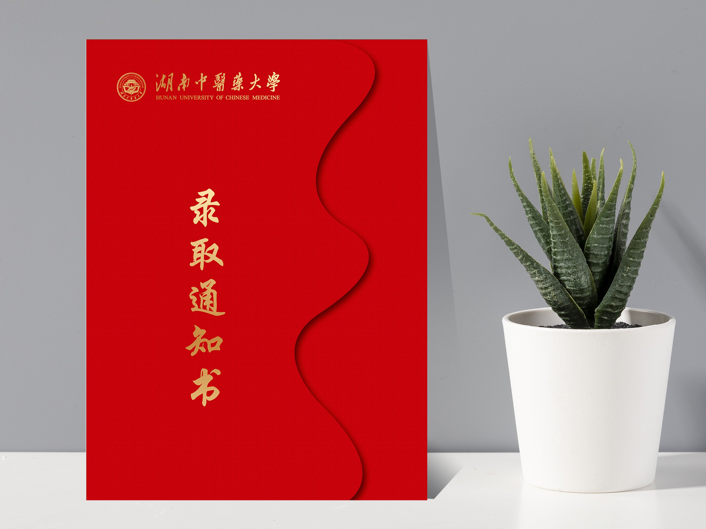 湖南中医药大学录取通知书_iqiqi_001-站酷ZCOOL