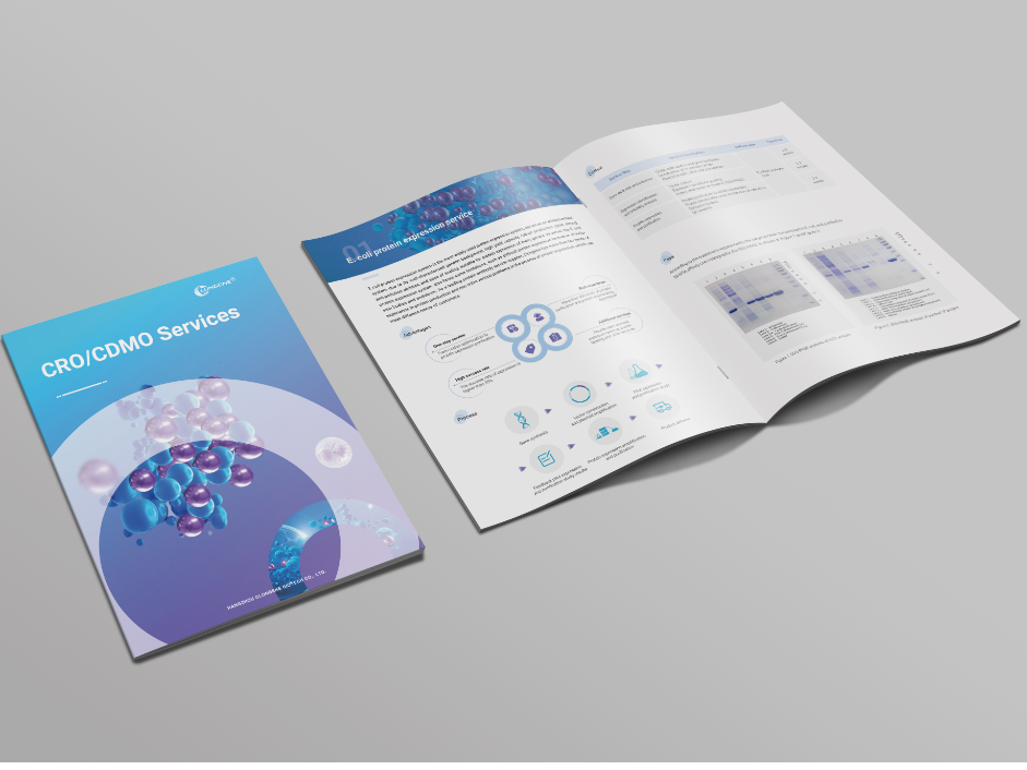 CRO/CDMO Services | brochure_A_SHI-站酷ZCOOL