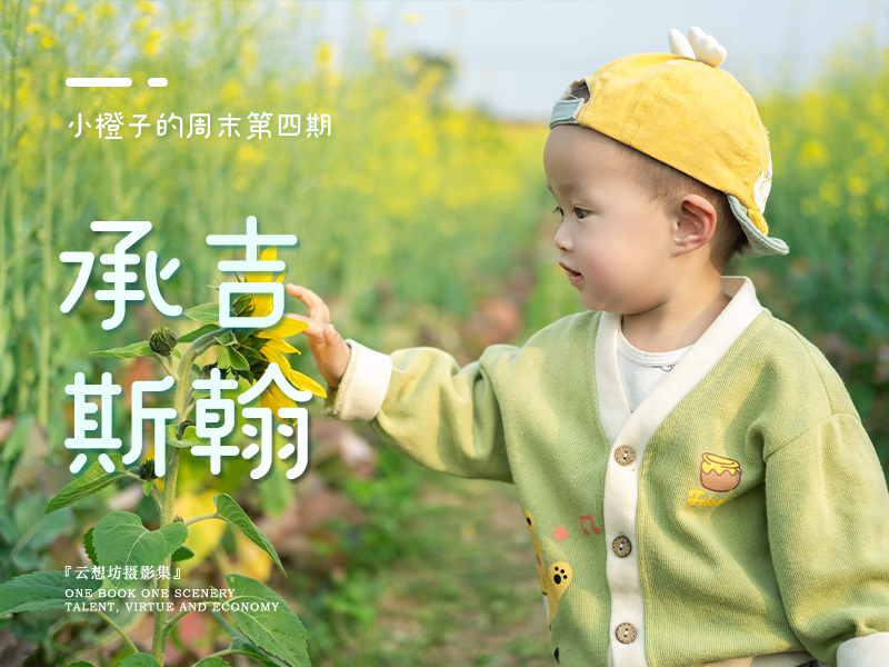 小橙子的周末第四篇_我是杨半仙-站酷ZCOOL