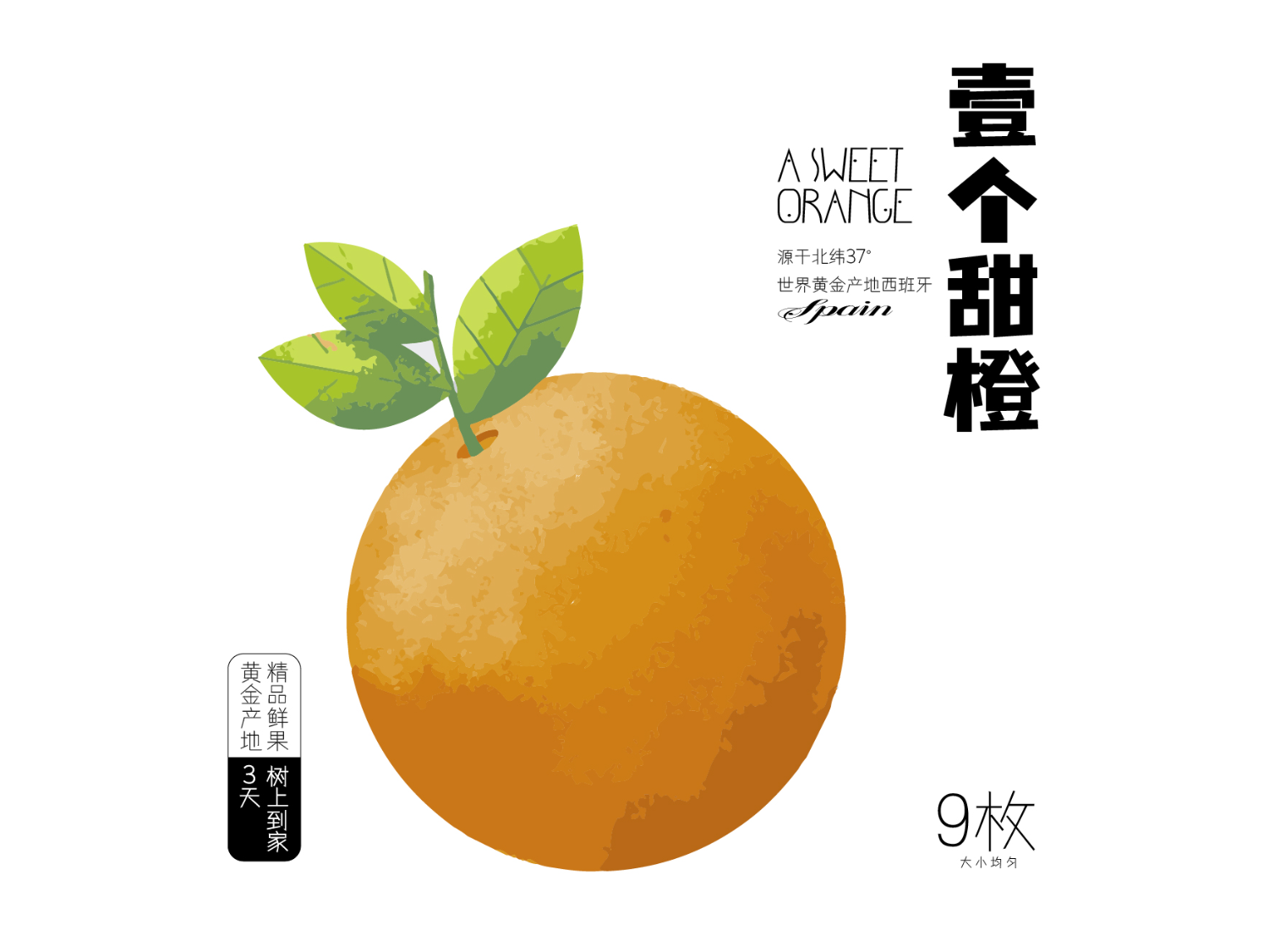 第2天_Blue的布鲁斯-站酷ZCOOL