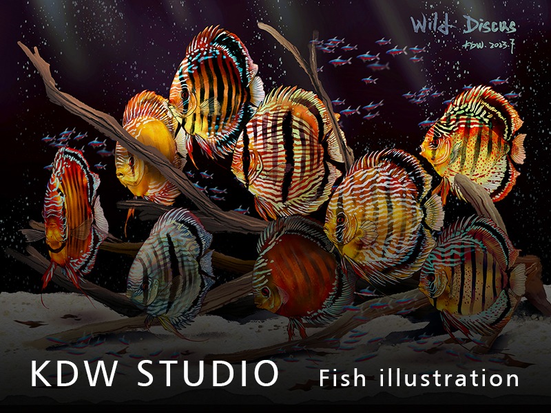 【KDW工作室】水族观赏鱼装饰画_KDW_J-站酷ZCOOL