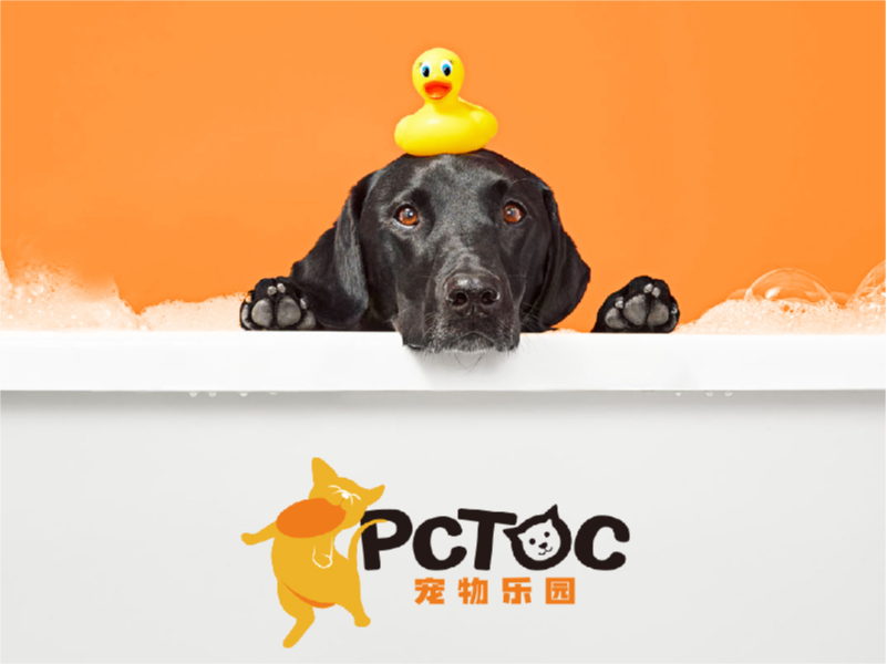 PCTOC宠物乐园品牌全案VI设计宠物店产品包装_AJ宾果品牌设计-站酷ZCOOL