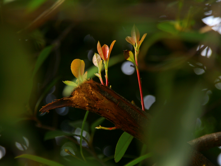 随手拍2022.9.26_拾捌1995-站酷ZCOOL