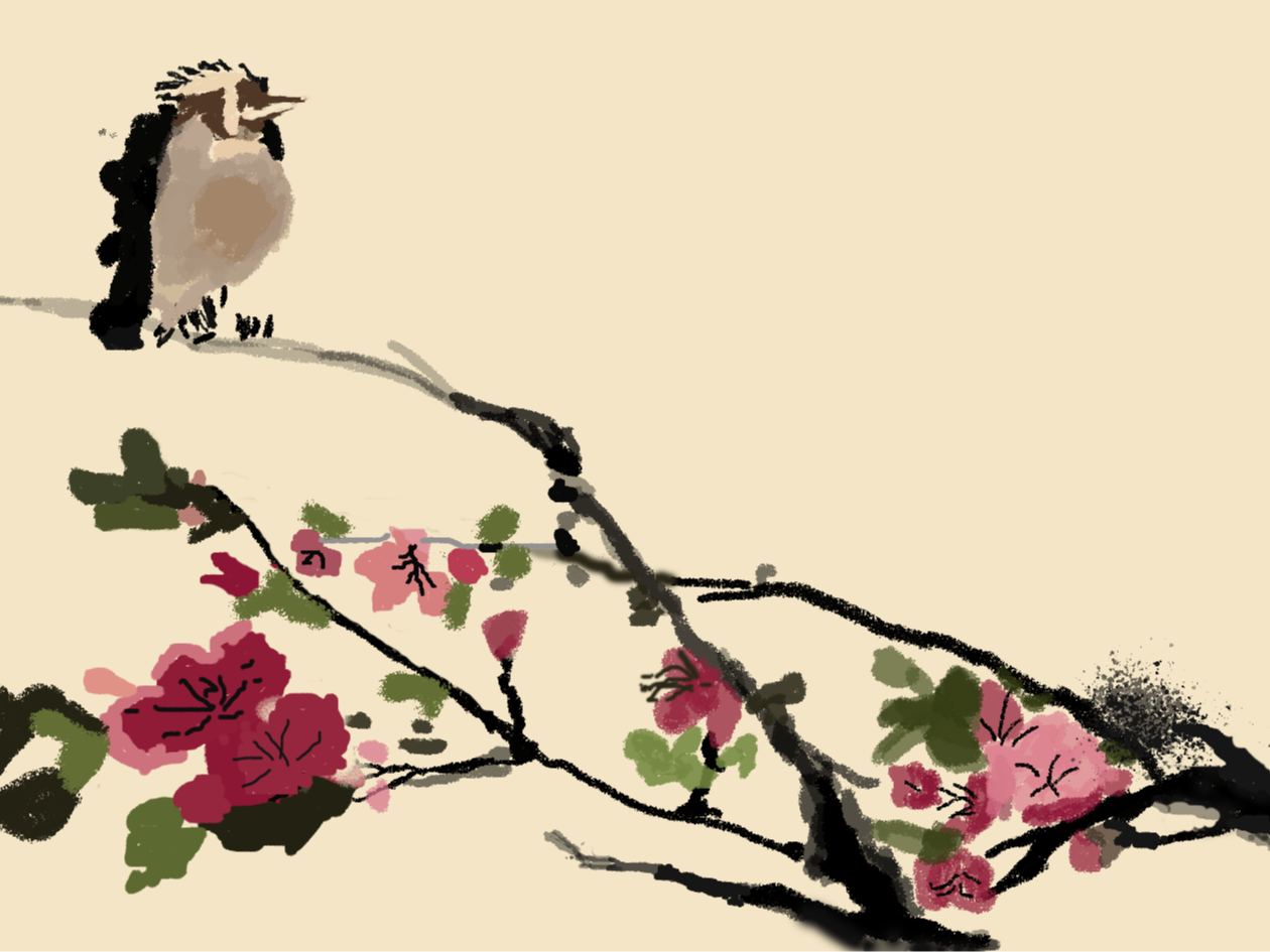 平面作品集_邓文翔-站酷ZCOOL