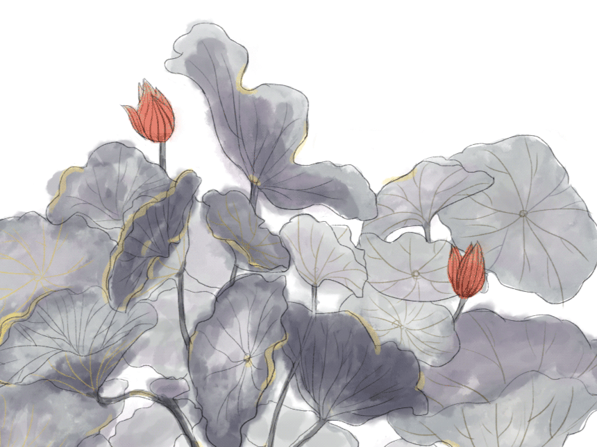 荷花_酱肉菜-站酷ZCOOL