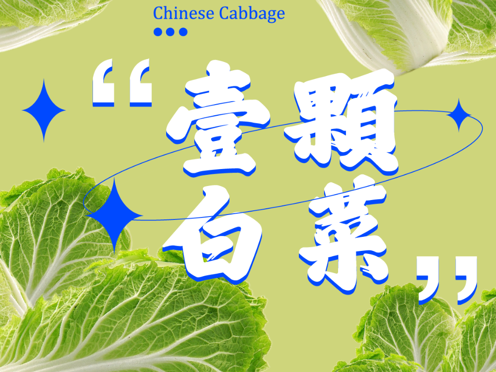 每日一练 Day79_Z376163800-站酷ZCOOL