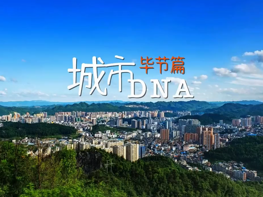 城市DNA毕节篇 | 城市宣传配音_大音配音G1组-站酷ZCOOL