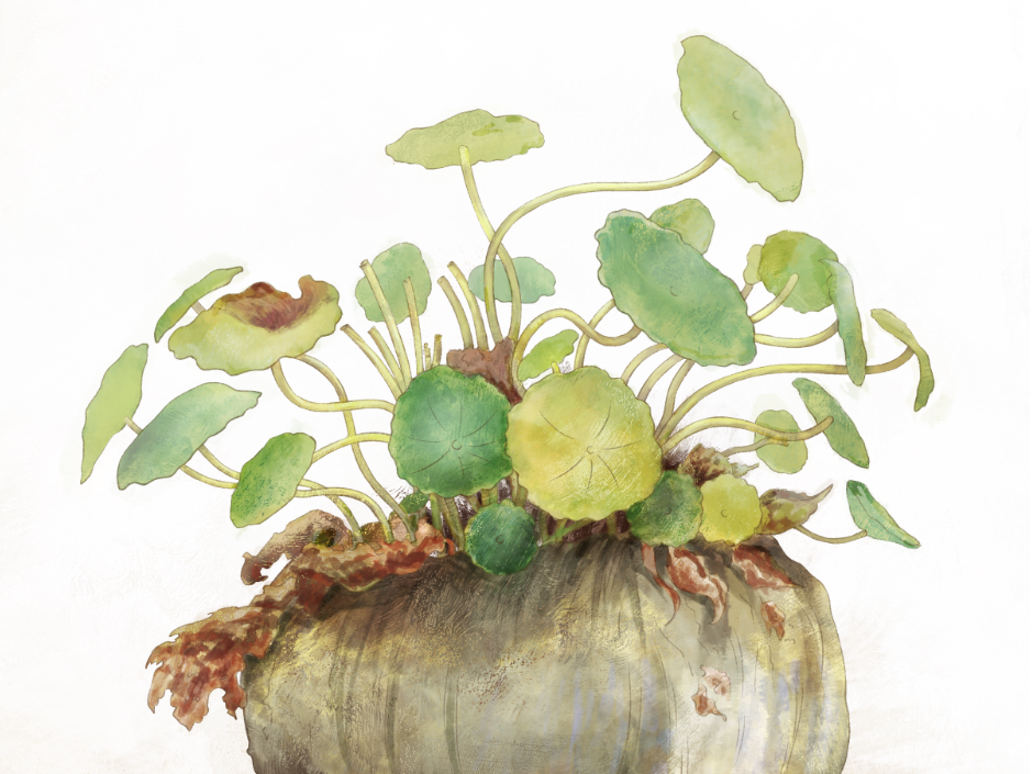 小盆景练习_桃李by不言-站酷ZCOOL