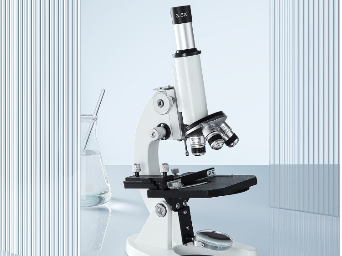 显微镜拍摄 | 橡皮人摄影_橡皮人摄影-站酷ZCOOL