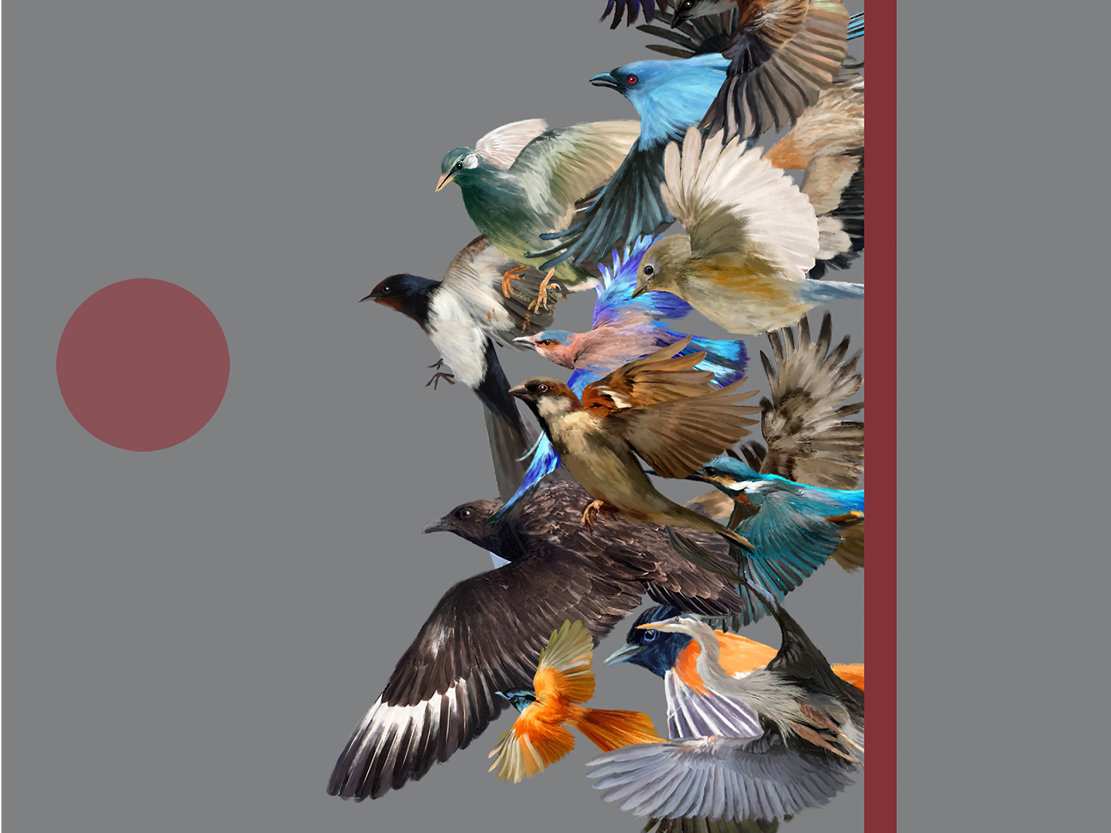 百鸟朝凤_我有个小小心愿-站酷ZCOOL