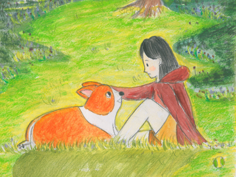 A Dog Named Niko_kumicogwt-站酷ZCOOL