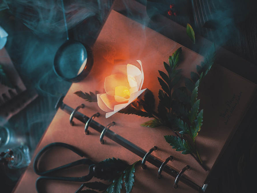 LUTs预设导入PS安装使用方法教程|3dl|cube|look|_陌鱼喜糖-站酷ZCOOL