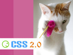 常用CSS命名参考及样式顺序_不雨亦潇潇-站酷ZCOOL