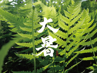 [24節氣] 大暑桌布_做作的Daphne-站酷ZCOOL