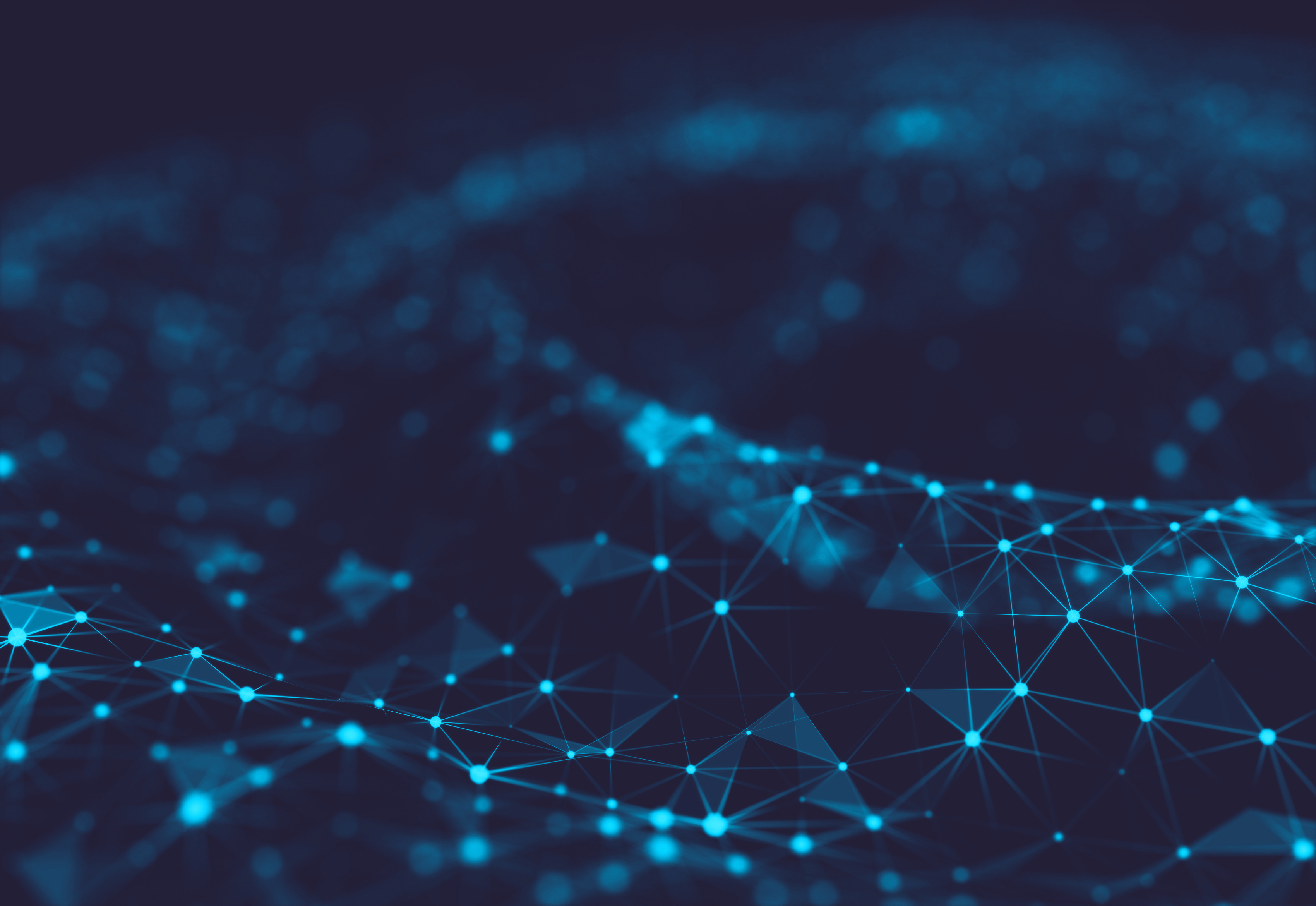 鲶鱼小姐_cindy的粉丝-站酷ZCOOL