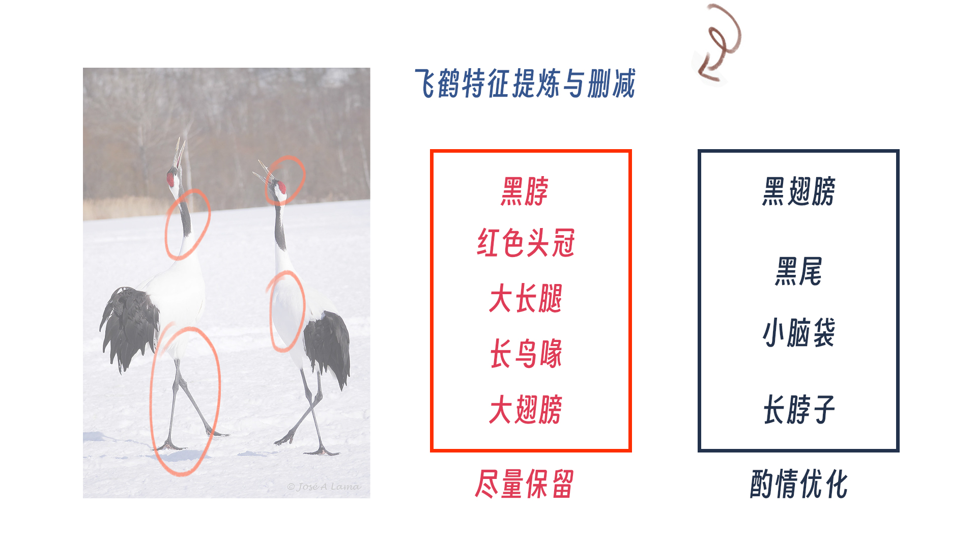 飞鹤家族IP升级_bin棒-站酷ZCOOL