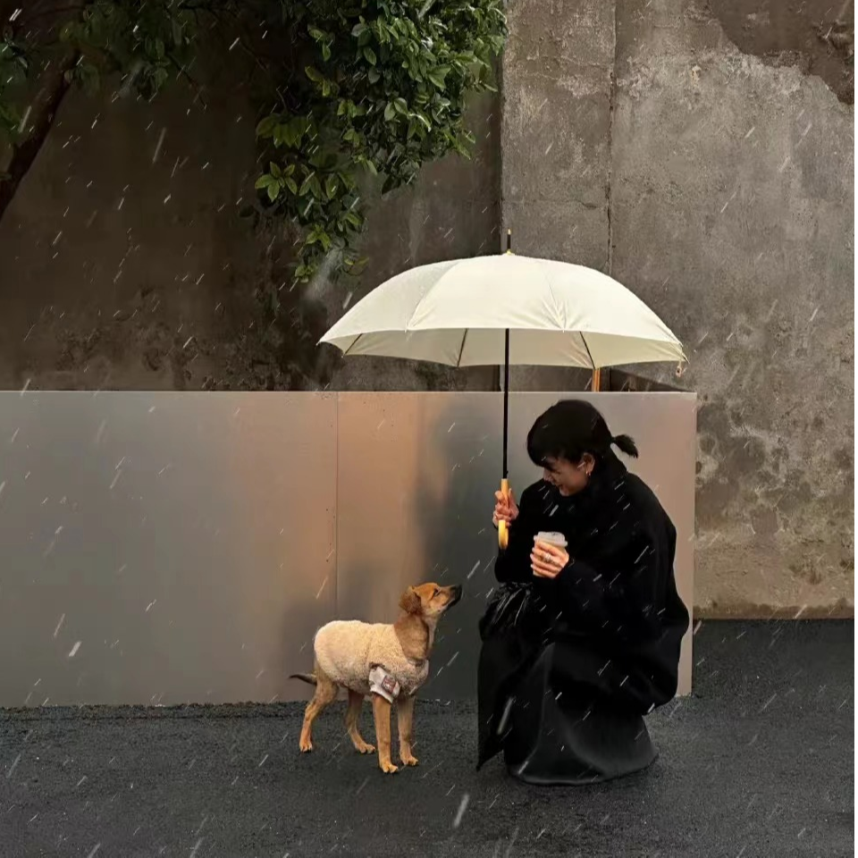 Jane_0513个人主页_台州平面设计师-站酷ZCOOL