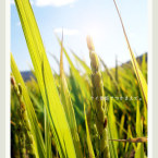 该用户未实名-站酷ZCOOL