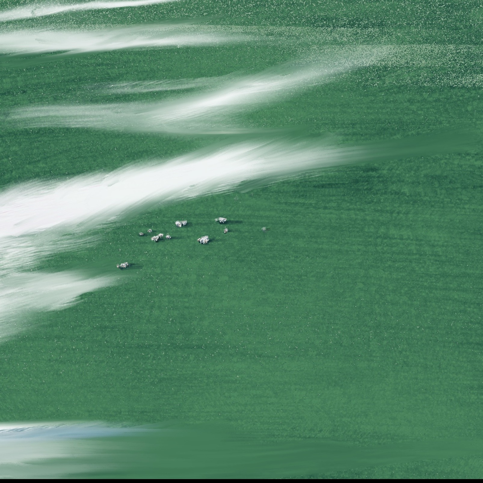 一颗莲子个人主页_杭州平面设计师-站酷ZCOOL