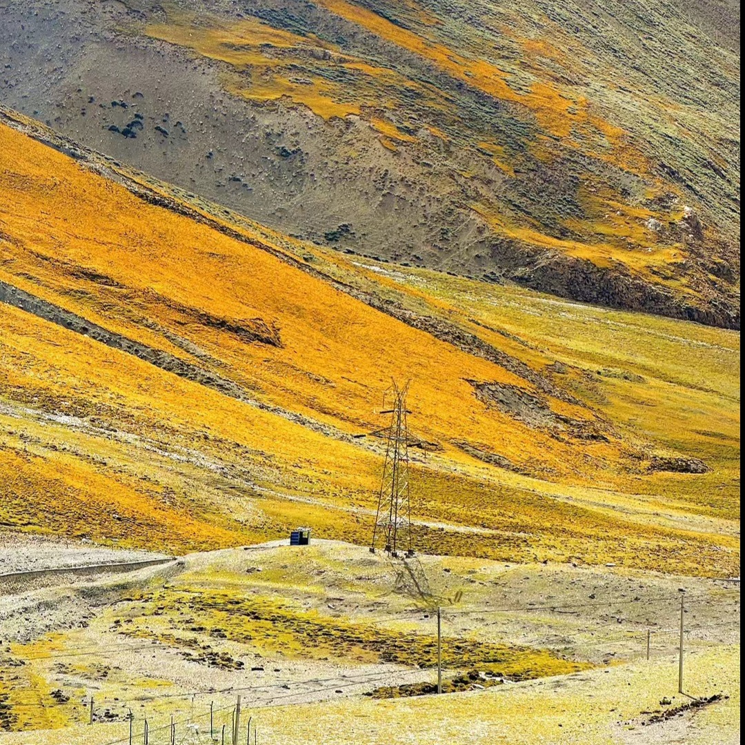 周momo个人主页_昆明平面设计师-站酷ZCOOL