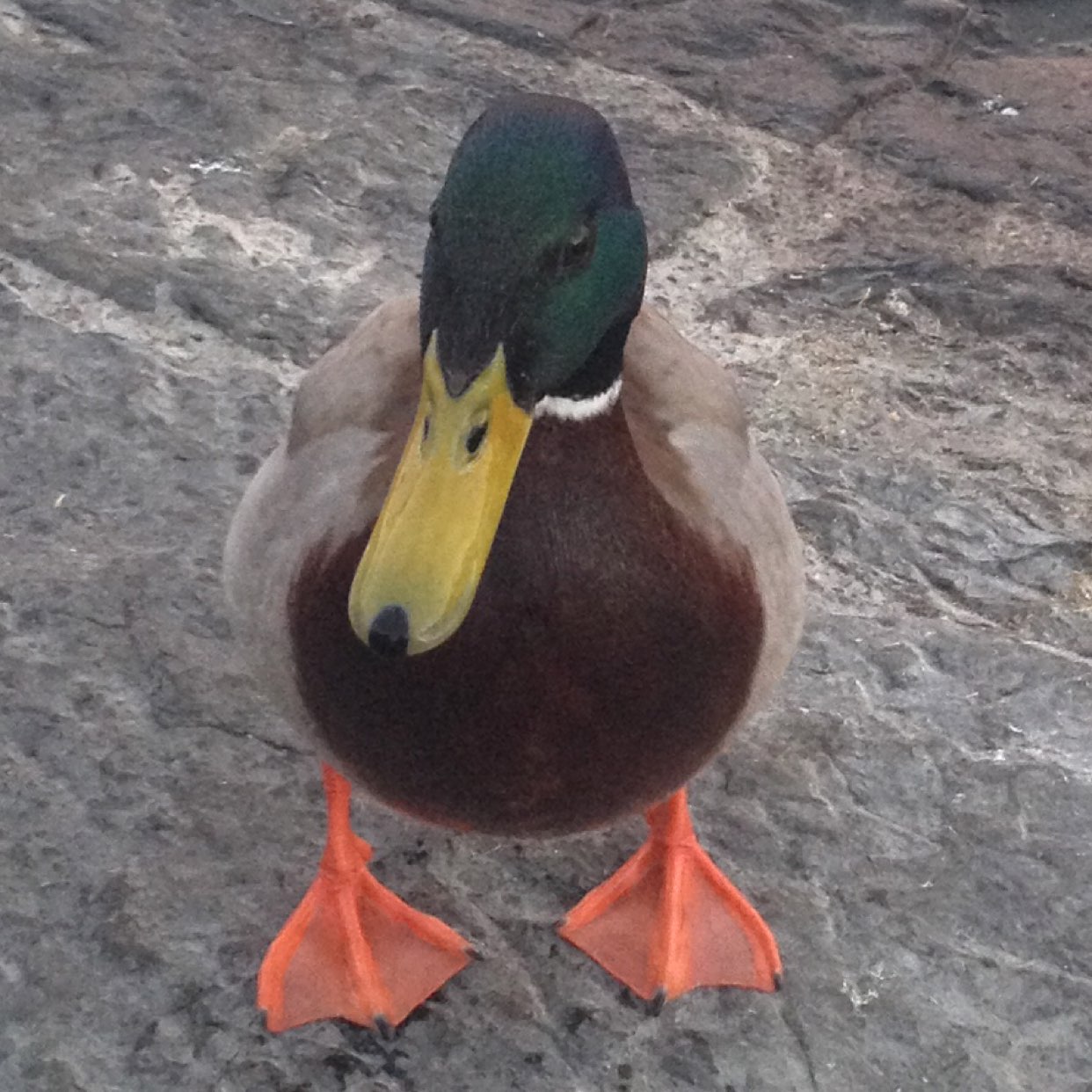 John_Jiang个人主页_南京设计爱好者-站酷ZCOOL