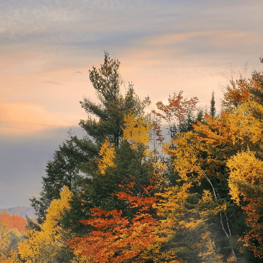 如果说再见创作者主页_长沙平面设计师-站酷ZCOOL