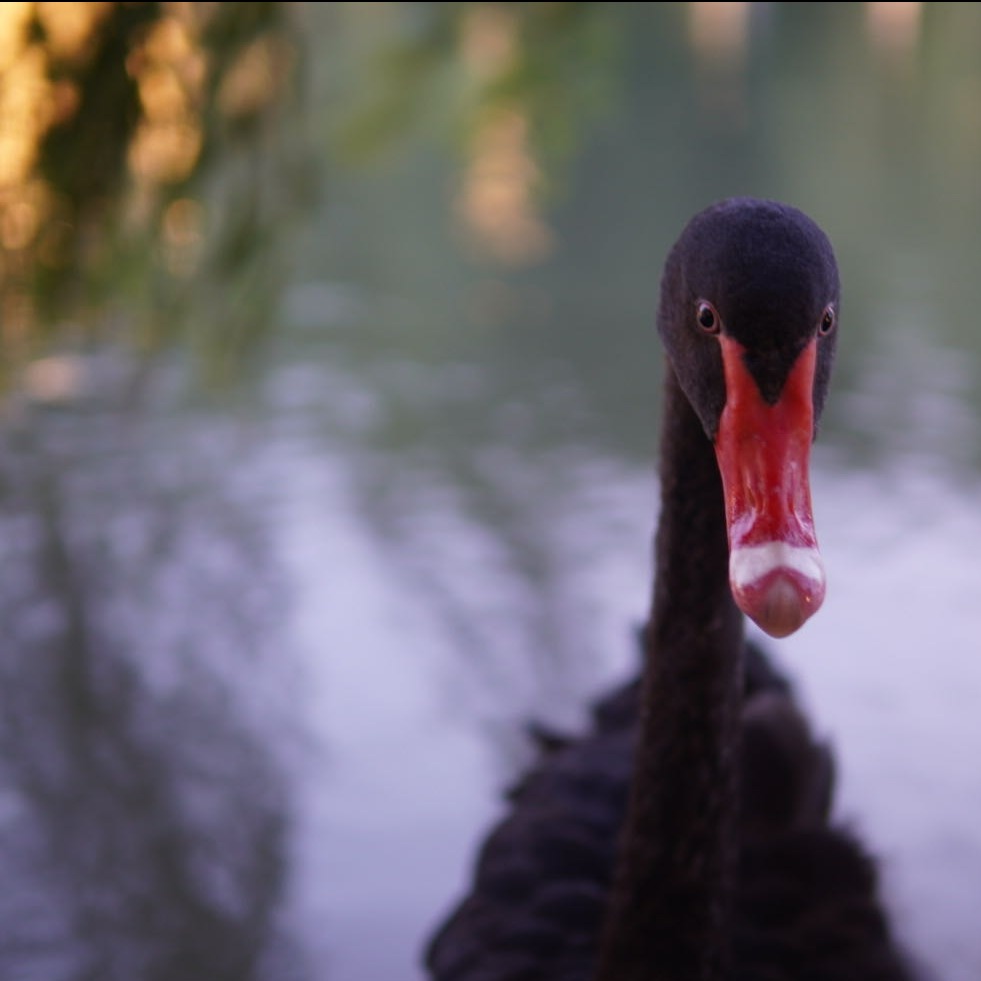 KDDLJS个人主页_上海摄影师-站酷ZCOOL