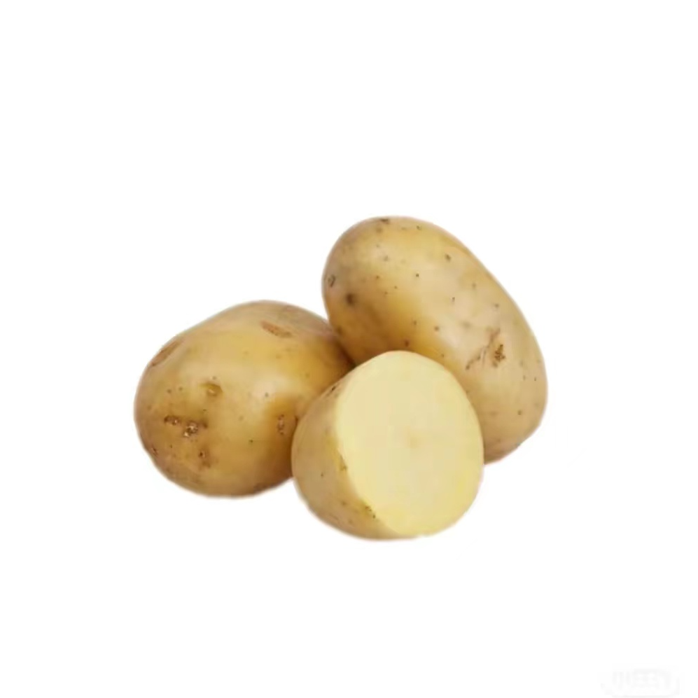 pp_potato创作者主页_长春学生-站酷ZCOOL