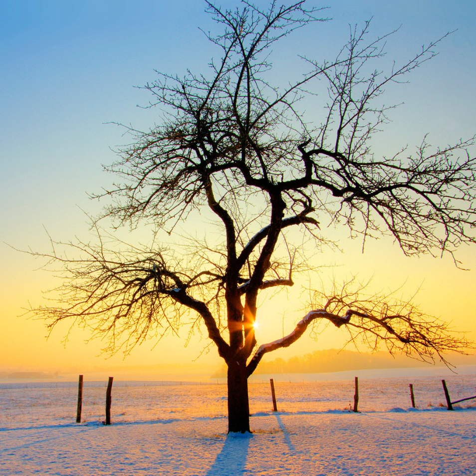 玖疯201个人主页_北京设计爱好者-站酷ZCOOL