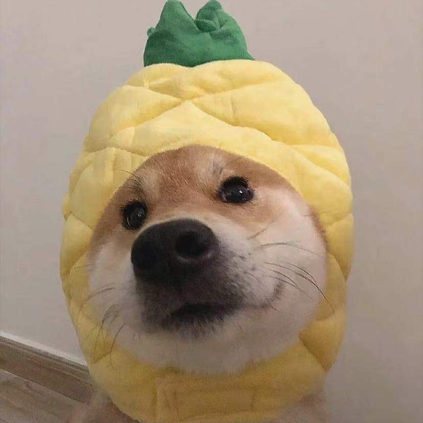 Z17109528个人主页_合肥学生-站酷ZCOOL