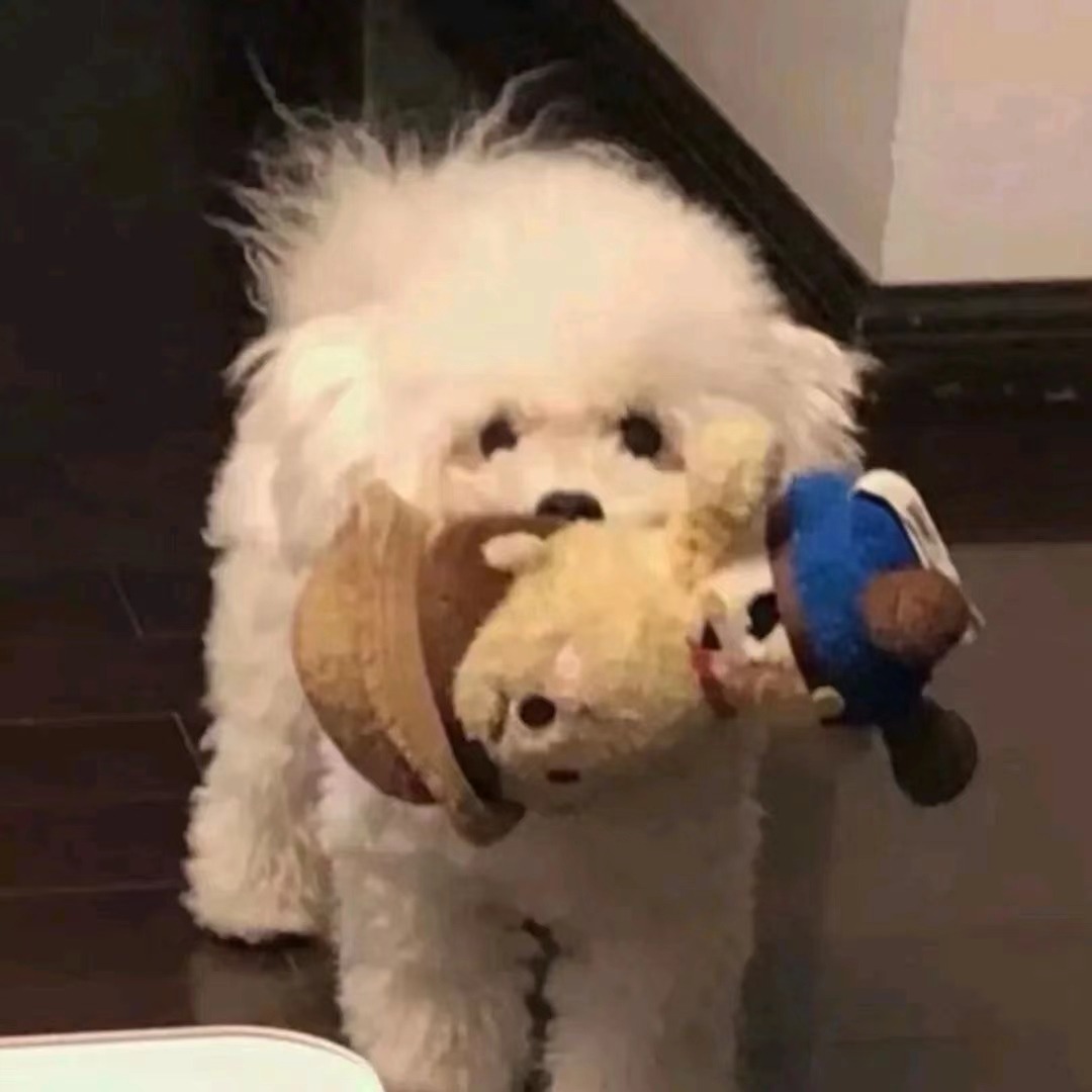 Puppy_06创作者主页_长沙学生-站酷ZCOOL