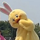 Kachoo创作者主页_福州设计爱好者-站酷ZCOOL