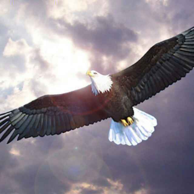 该用户未实名-站酷ZCOOL