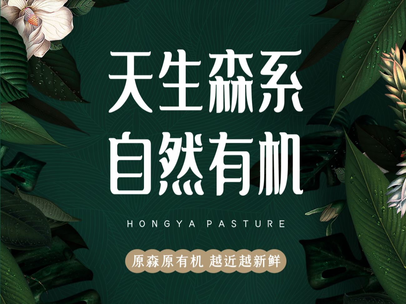 个人作品集-森系博物馆 H5_wxy1978-站酷ZCOOL