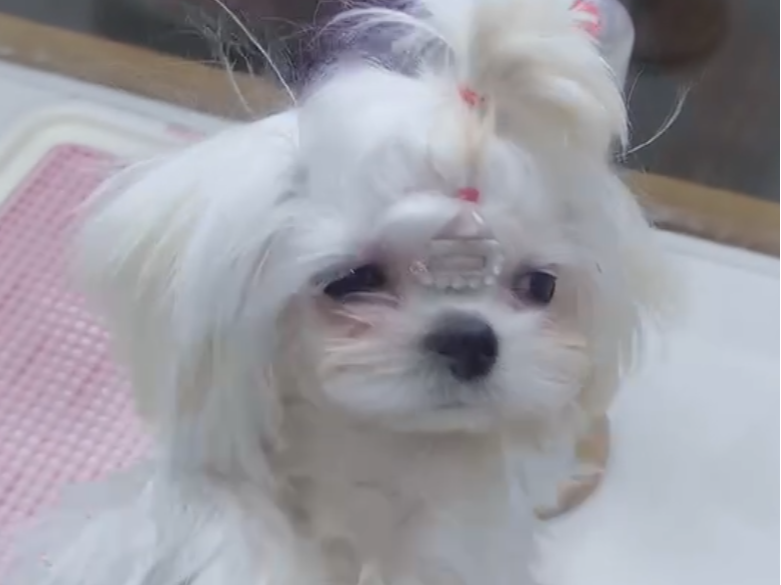 北京vlog_jvsh-站酷ZCOOL