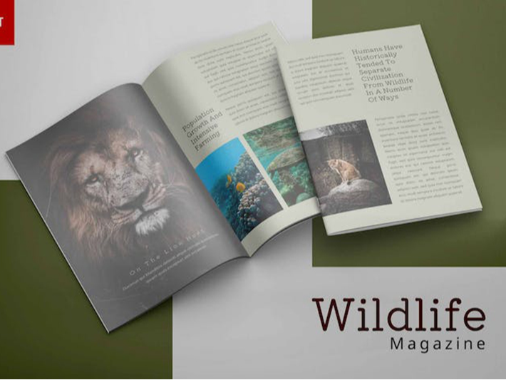 20页A4尺寸杂志风野生动物介绍宣传展示通用PPT模板_爱晴天-站酷ZCOOL