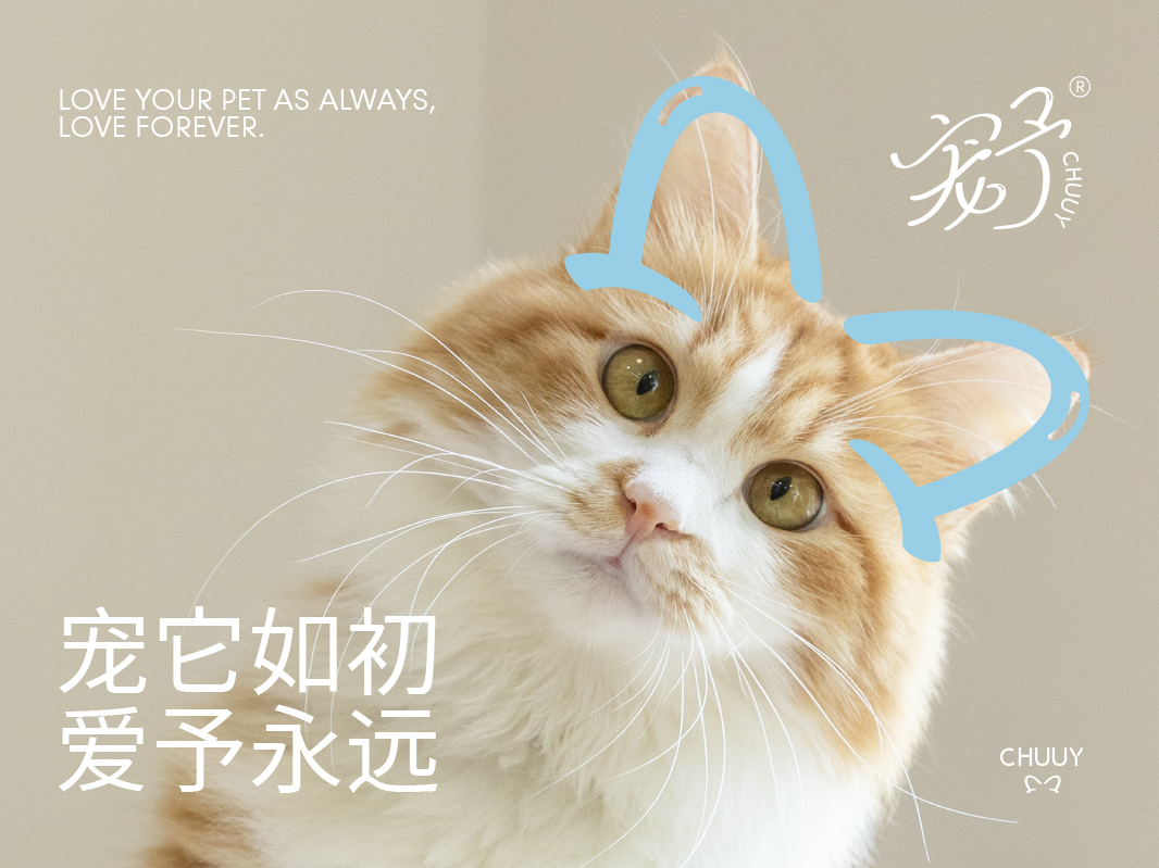 宠予 CHUUY 宠物品牌视觉设计_像柒-站酷ZCOOL