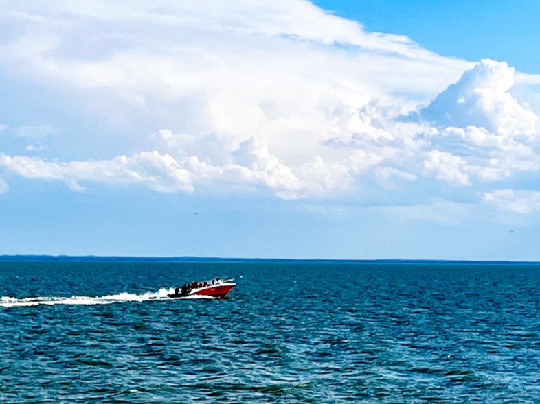 达里湖_Z72014202-站酷ZCOOL