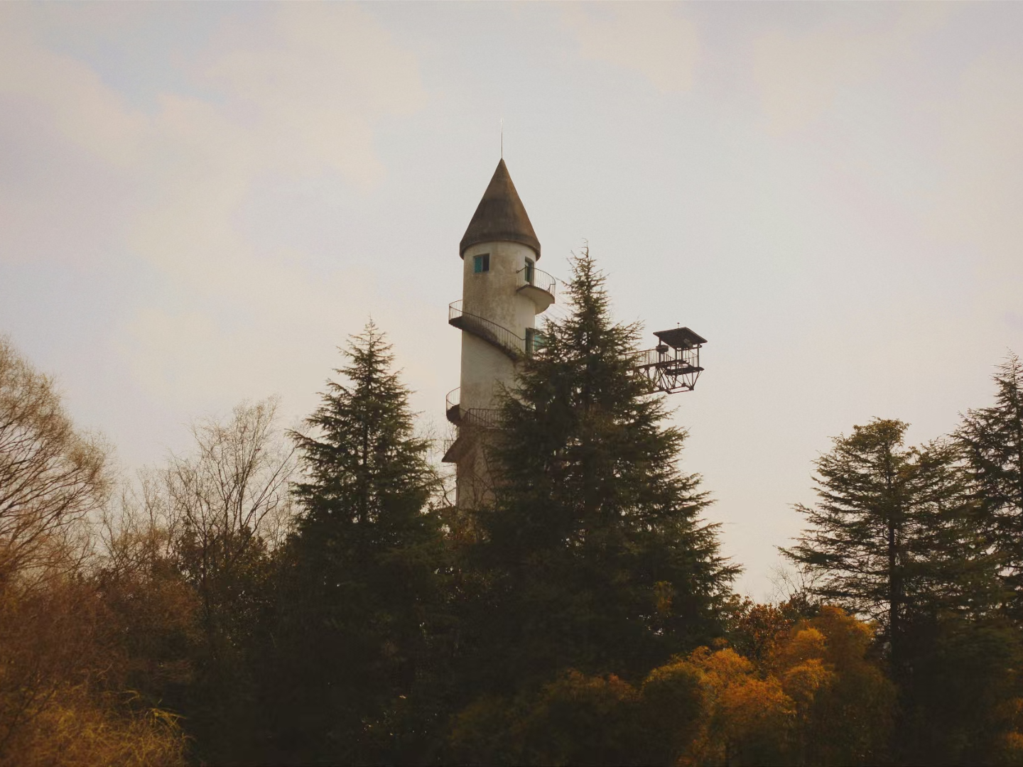 随拍_花海ACE-站酷ZCOOL