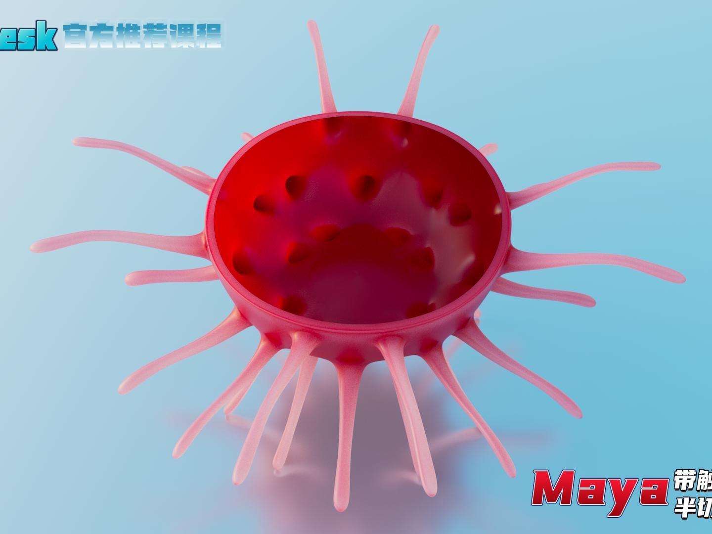 Sci科研制图 | 如何用maya做带触角的1/2半切面的细胞_科学颜习社-站酷ZCOOL