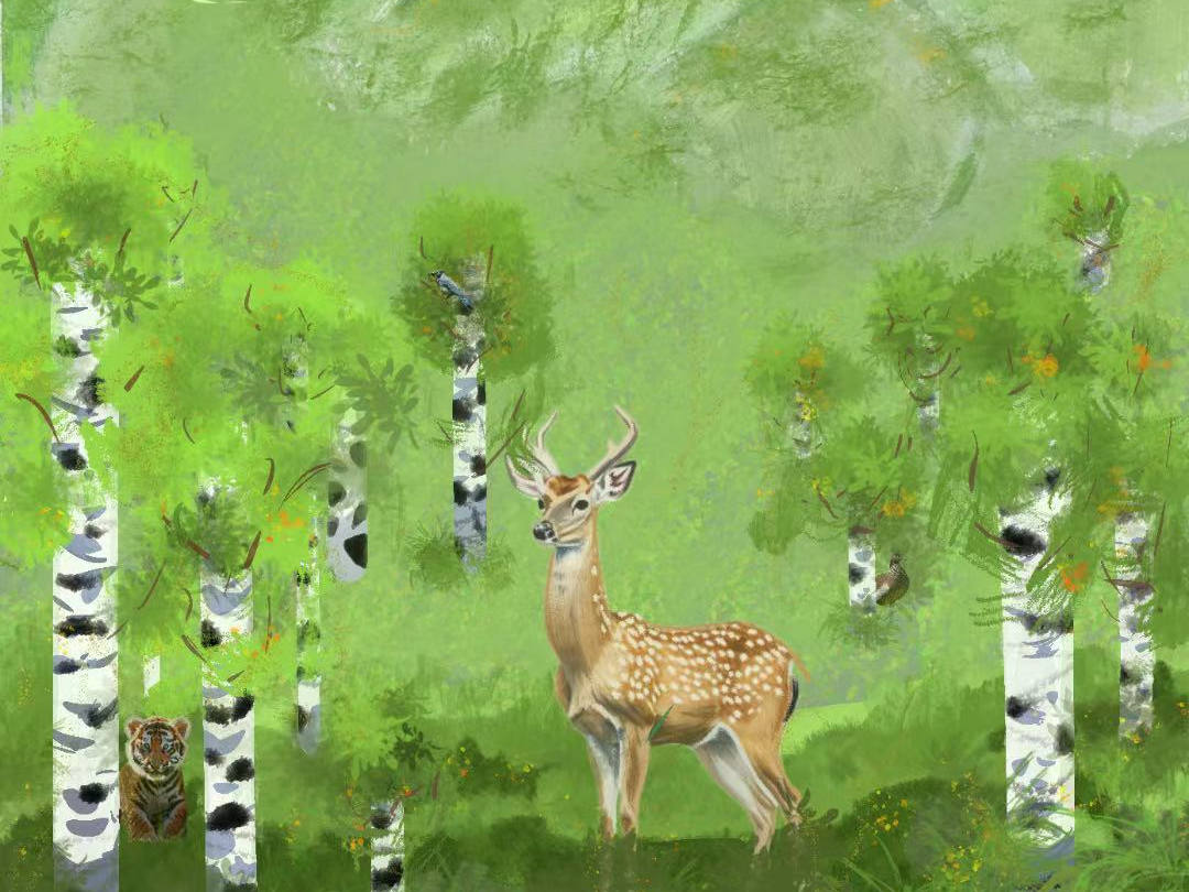 长白山动物集会_nn不知道-站酷ZCOOL