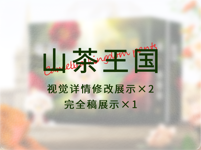 2024小童领详情及修改展示_相信我NOYA-站酷ZCOOL