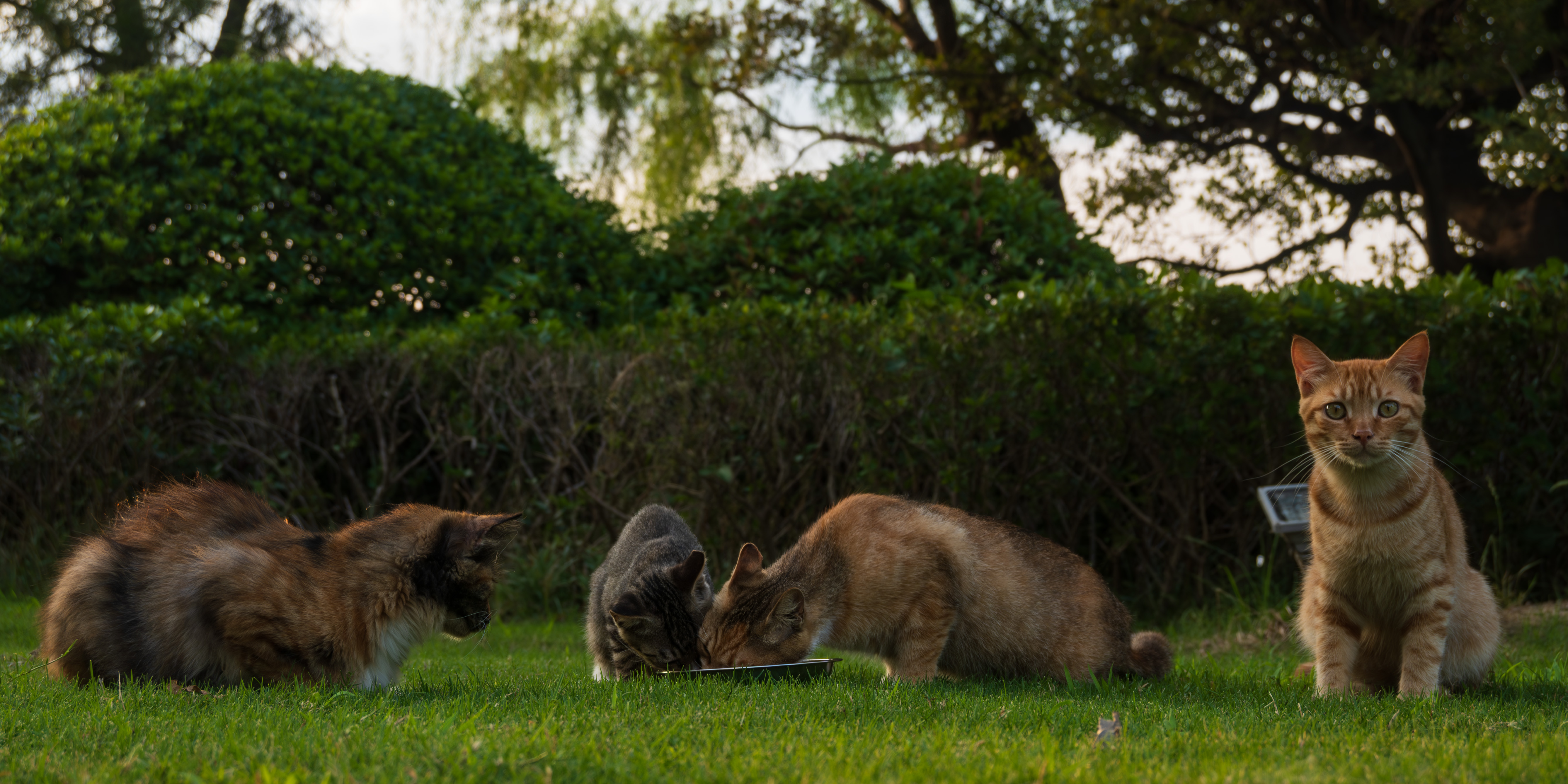 傍晚_KISENSS-站酷ZCOOL
