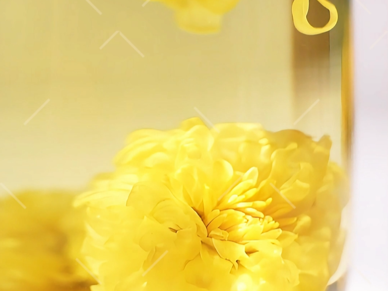 怀菊花视频|美食摄影|电商产品拍摄|×郑州密斯杨_密斯杨摄影视频部-站酷ZCOOL