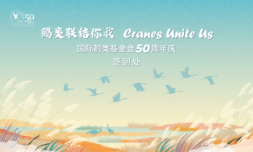 鹤类基金会50周年庆插画物料设计_OBJ取物-站酷ZCOOL