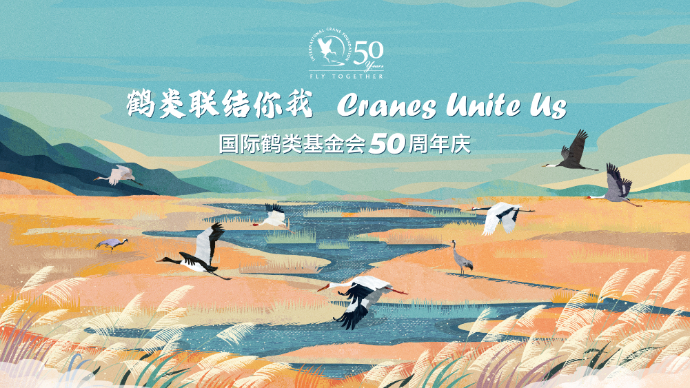 鹤类基金会50周年庆插画物料设计_OBJ取物-站酷ZCOOL